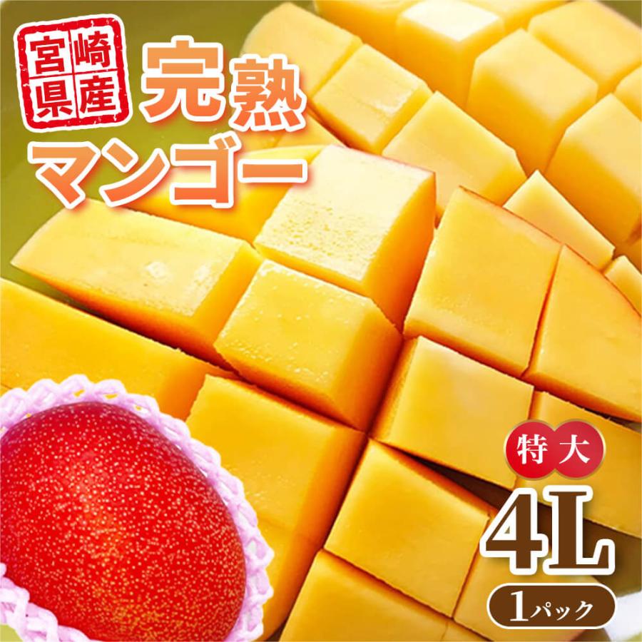 感動の味わい 完熟マンゴー 宮崎県産 約510g以上 等級青秀以上 特大 4Lサイズ 1パック 丸進青果セレクト 果物 果実 マンゴー 宮崎 完熟 フルーツ : うさマートYahoo ...