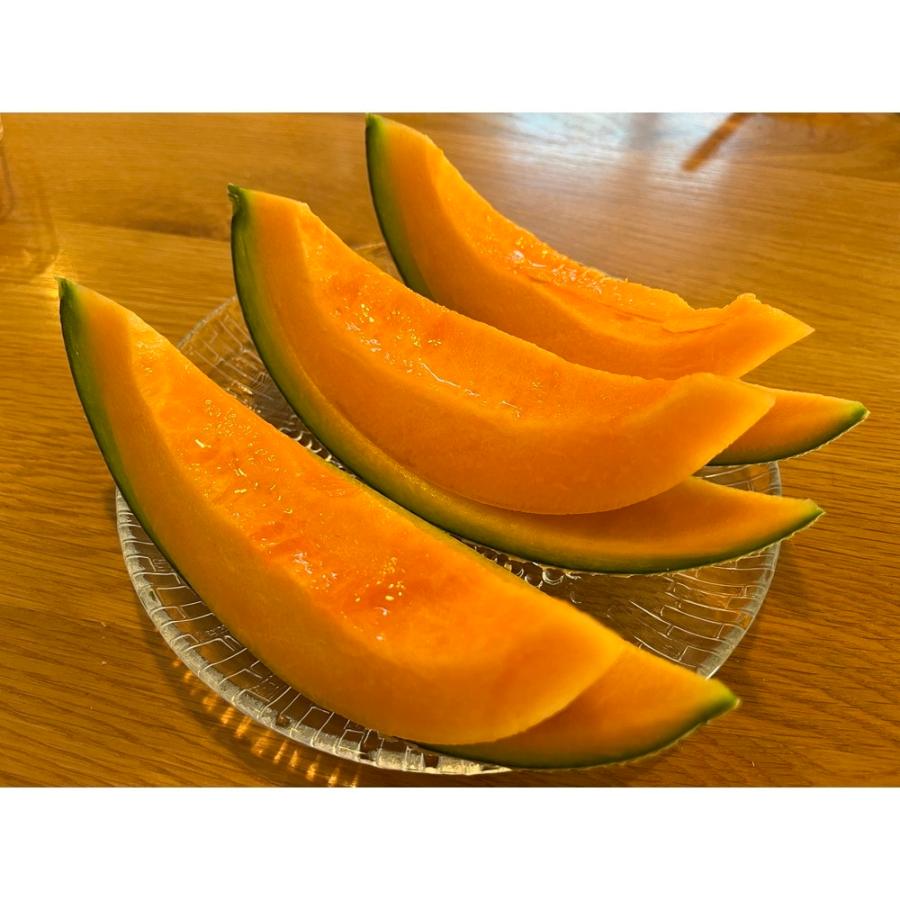 【7月中旬以降お届け】大玉 富良野赤肉メロン (2.0kg以上) 2玉 メロン めろん 北海道 富良野 大玉 赤肉 旬の果物 :9000000587694:うさマートYahoo!ショッピング店 ...