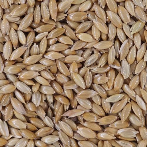 ナチュラルペットフーズ 【お買い得】【3個セット】【賞味期限：2027.05】 NPF ナチュラルペットフーズ ナチュラルセレクト カナリアシード 400g×3個セット : うさうさラビトリー ...