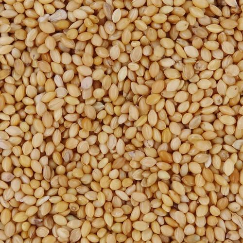 ナチュラルペットフーズ NPF ナチュラルペットフーズ ナチュラルセレクト アワ(皮付き) 500g : うさうさラビトリー ヤフー店 - 通販 - Yahoo!ショッピング