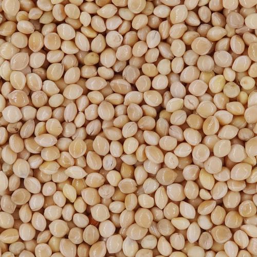 ナチュラルペットフーズ NPF ナチュラルペットフーズ ナチュラルセレクト キビ(皮付き) 500g : うさうさラビトリー ヤフー店 - 通販 - Yahoo!ショッピング