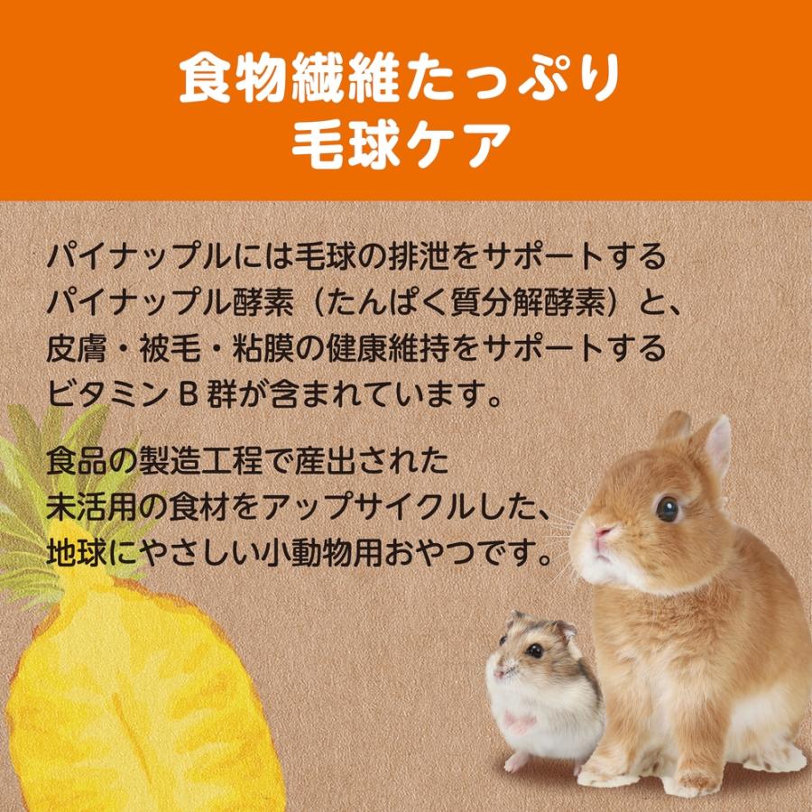 GEX GEX ヘルシーレシピ パイナップルぽりぽり 30g : うさうさラビトリー ヤフー店 - 通販 - Yahoo!ショッピング