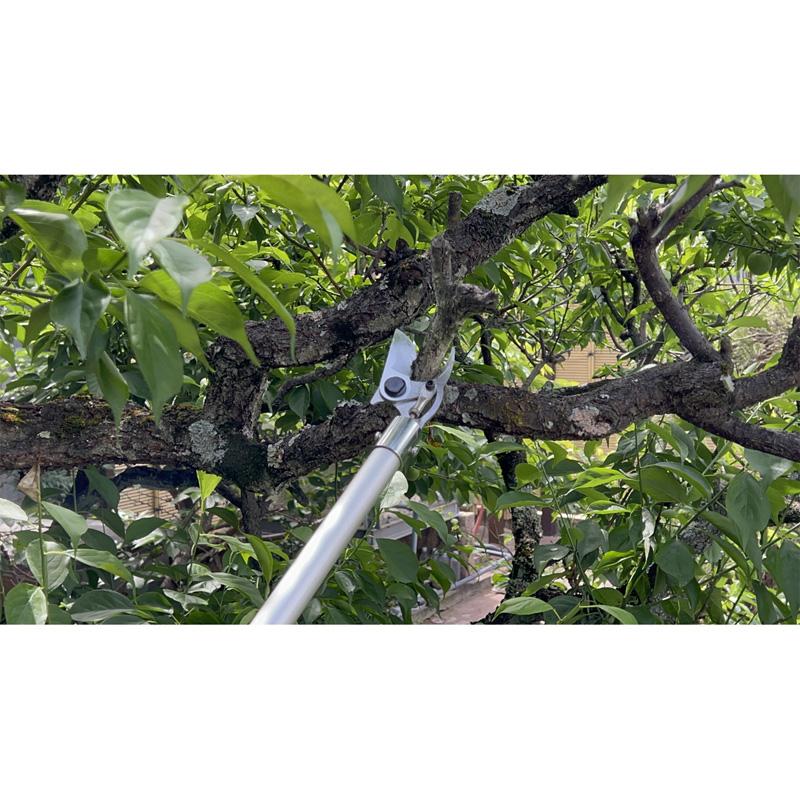 コードレス電動パイプ回転式高枝鋏 スゴタカ 1.7m EPT-720-1.7 電動剪定はさみ ハサミ 鋏 電動鋏 充電 枝切り 切断 伐採 園芸 ARS アルス 福KDZ : プラスワイズ ...