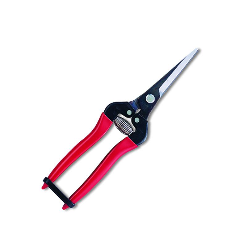 摘果鋏 エクストラロングタイプ ブリスターパック 300LL-BP はさみ ハサミ 野菜 果樹 ARS アルス 福KD 送料無料 メール便 : プラスワイズホームセンター店 - 通販 ...