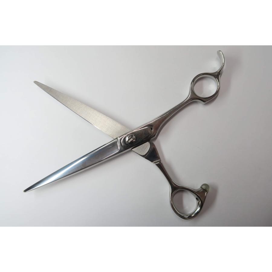 Bランク 光シザー HIKARI ヒカリ E-6.5 シザー 美容師・理容師 6.5インチ 右利き 中古:I-1200 : 中古シザー買取販売専門店Kittemi - 通販 - Yahoo ...