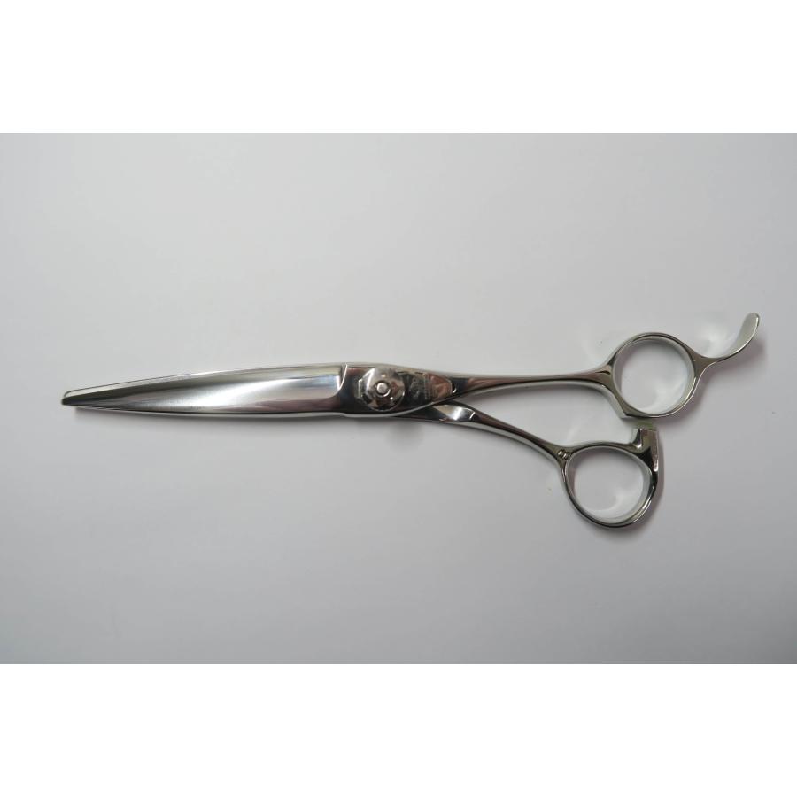 Bランク アルプス株式会社 リビテックハイネッタ21 Z-80HCシザー 美容師・理容師 6.5インチ 右利き 中古:H-7665 : 中古シザー買取販売専門店Kittemi - 通販 ...