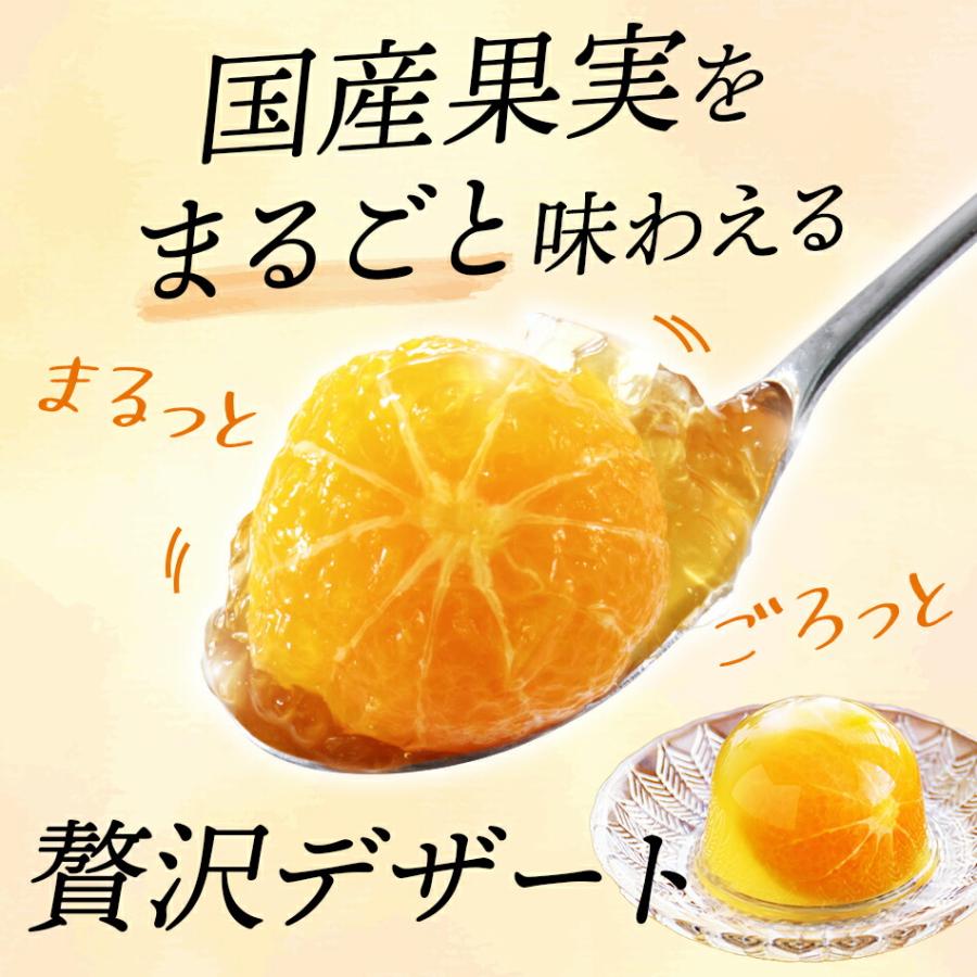 フルーツゼリー 小南農園 田村みかんフルーツまるごとゼリーセット 9個入 新商品 みかんゼリー ミカン 和歌山 : komi-tm9 : ウツワマルシェ - 通販 - Yahoo!ショッピング