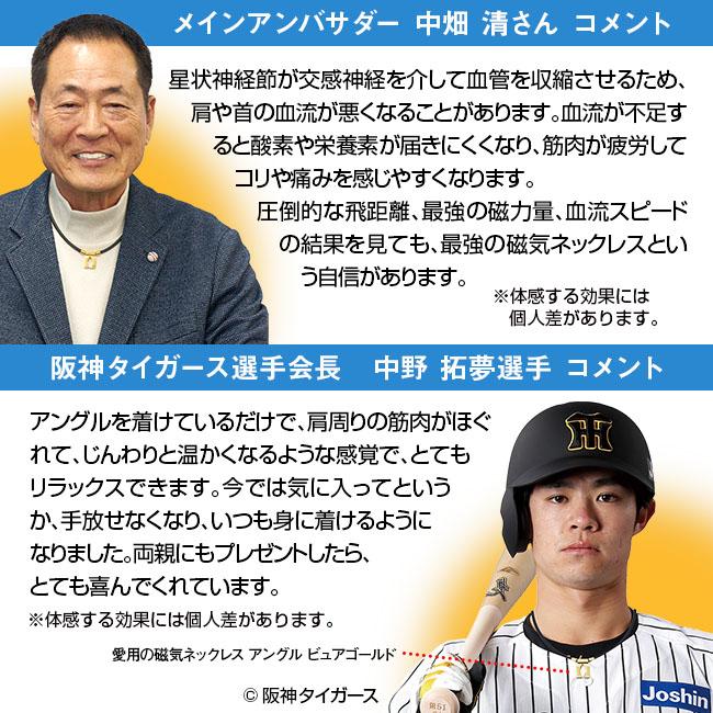 アングル e.モデル 01 ネックレス ピュアゴールド ANGLE e.MODEL NECKLACE AE N 磁気ネックレス 50mT 医療機器 日本製 健康 アクセサリー 男女兼用 M L ...