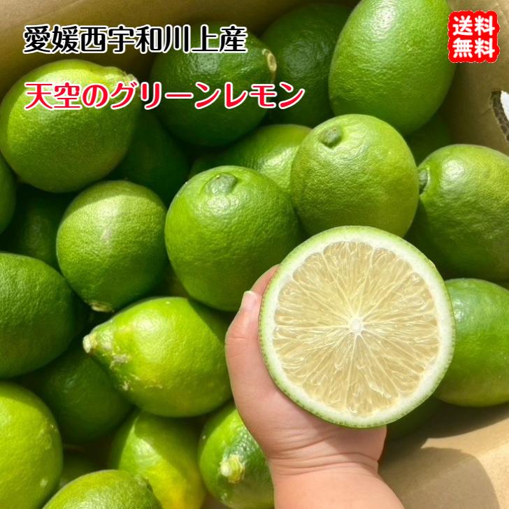 天空のレモン 家庭用 （3kg 15~50個） 愛媛 西宇和 川上産 農地直送 送料無料 北海道/沖縄/東北は別途送料 : tenku-remon-home3 : 宇和海の幸問屋 - 通販 ...