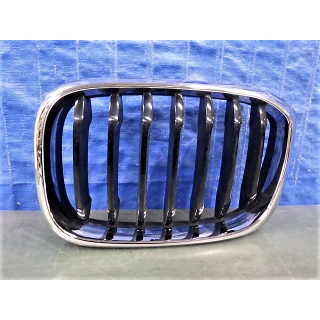 S1040 BMW X3 G01 X4 G02 左 グリル 192976-10 : V TRUST - 通販 - Yahoo!ショッピング