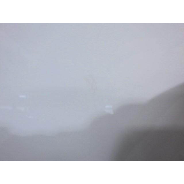 B283 シビック タイプR FL5 ボンネット フード チャンピオンシップホワイト 純正品 : V TRUST - 通販 - Yahoo ...