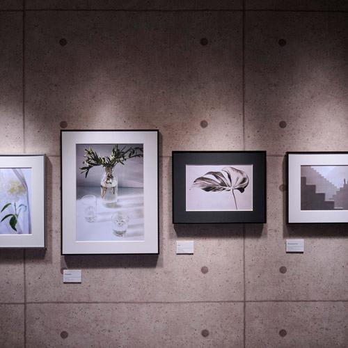 HAKUBA ハクバ アルミ額縁 HFA-03 A4サイズ 全3色 面材ガラス : 額縁・アルバム・雑貨の老舗 万丈 - 通販 - Yahoo!ショッピング