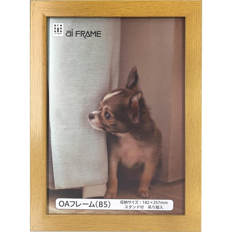 イワタ ai FRAME OAフレーム B5 ピンク/ブラウン/ナチュラル/ホワイト JOA-B5 額縁 : 額縁・アルバム・雑貨の老舗 万丈 ...