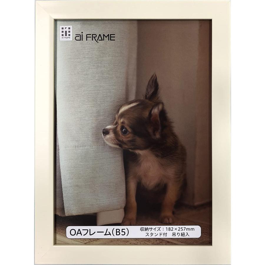 イワタ ai FRAME OAフレーム B5 ピンク/ブラウン/ナチュラル/ホワイト JOA-B5 額縁 : 額縁・アルバム・雑貨の老舗 万丈 ...