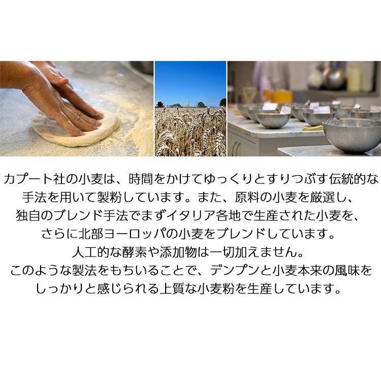 デュラムセモリナ粉 セモナ リマチナータ Caputo ピザ pizza piza