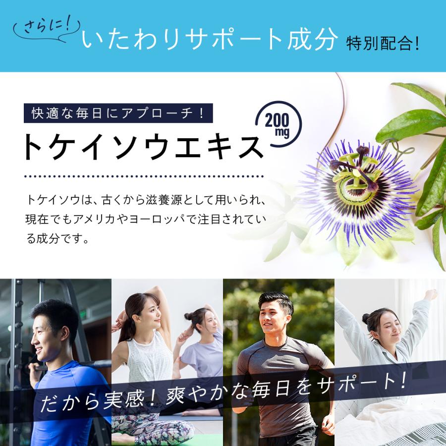 VALX（バルクス） 【VALX RAKUSUYA ラクスヤ】GABA100mg トリプトファン150mg トケイソウエキス200mg ...
