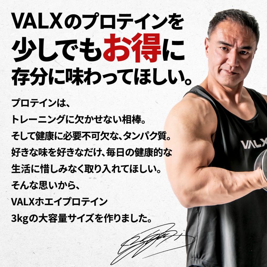 VALX バルクス ホエイプロテイン WPC 大容量 山本義徳 3kg 女性 男性 :setC-wpc-3kg:VALX ONLINE STORE - 通販 - Yahoo!ショッピング