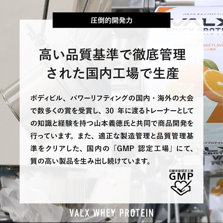 VALX バルクス ホエイプロテイン WPC 大容量 山本義徳 3kg 女性 男性 : setc-wpc-3kg : VALX ONLINE STORE - 通販 - Yahoo!ショッピング