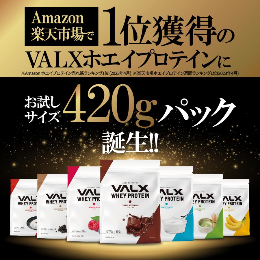VALX バルクス ホエイプロテイン WPC 低容量 山本義徳 420g 女性 男性 :setC-wpc-420g:VALX ONLINE STORE - 通販 - Yahoo!ショッピング