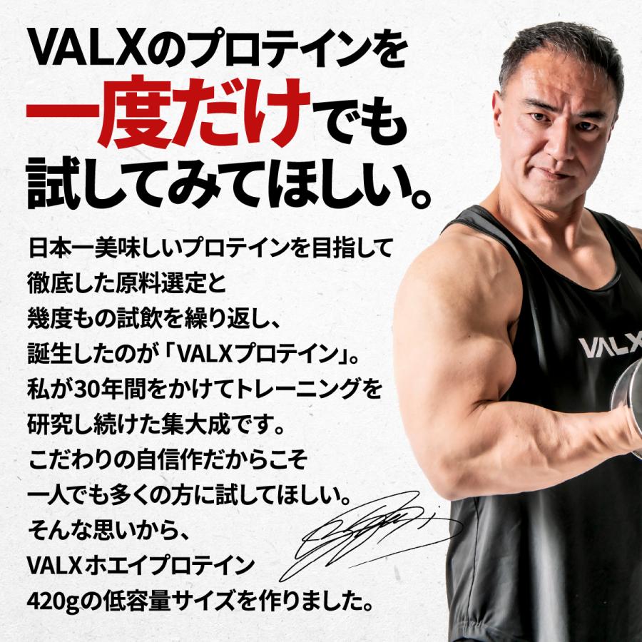 VALX バルクス ホエイプロテイン WPC 低容量 山本義徳 420g 女性 男性 :setC-wpc-420g:VALX ONLINE STORE - 通販 - Yahoo!ショッピング