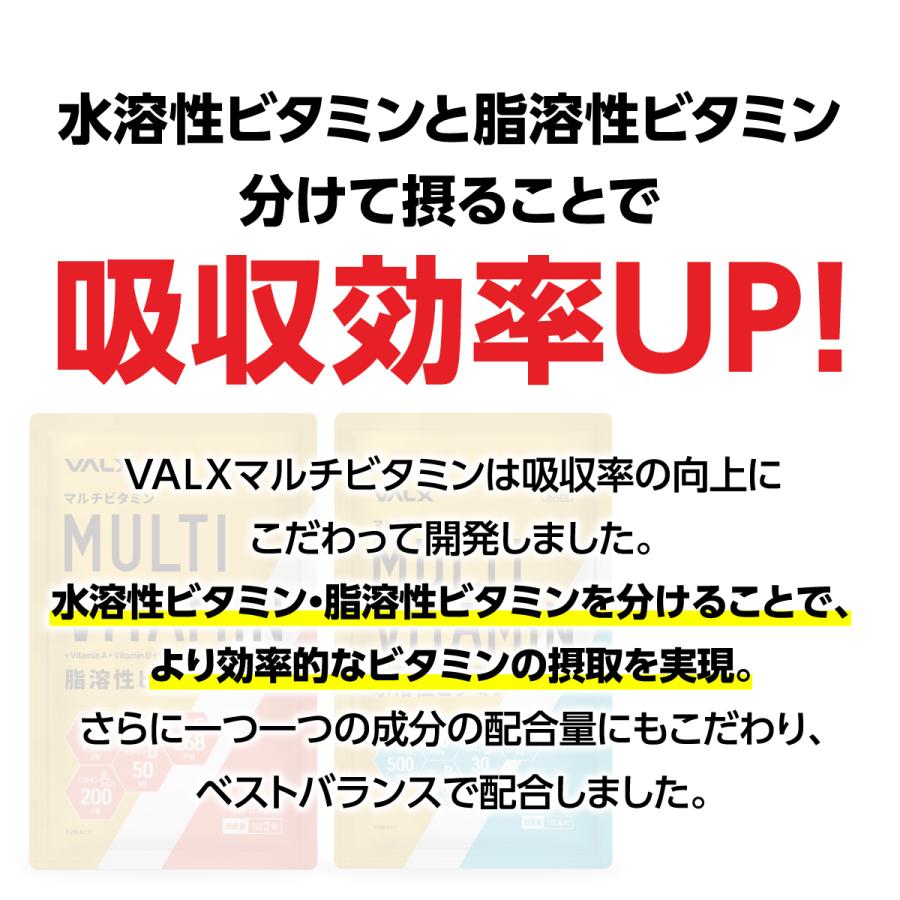 VALX（バルクス） マルチビタミン 脂溶性ビタミン サプリメント サプリ マルチビタミン ビタミンA ビタミンE ビタミンD ビタミンE ...