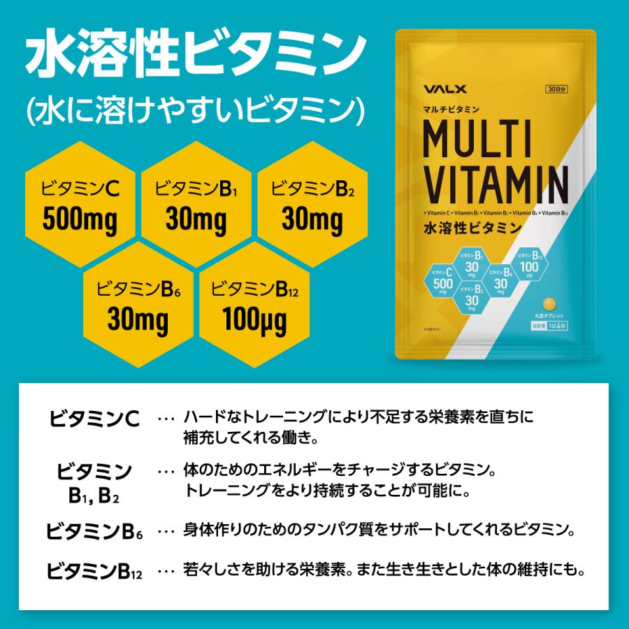 VALX マルチビタミン 水溶性ビタミン サプリメント サプリ マルチビタミン 水溶性 ビタミンB ビタミンC :V-VW:VALX ...