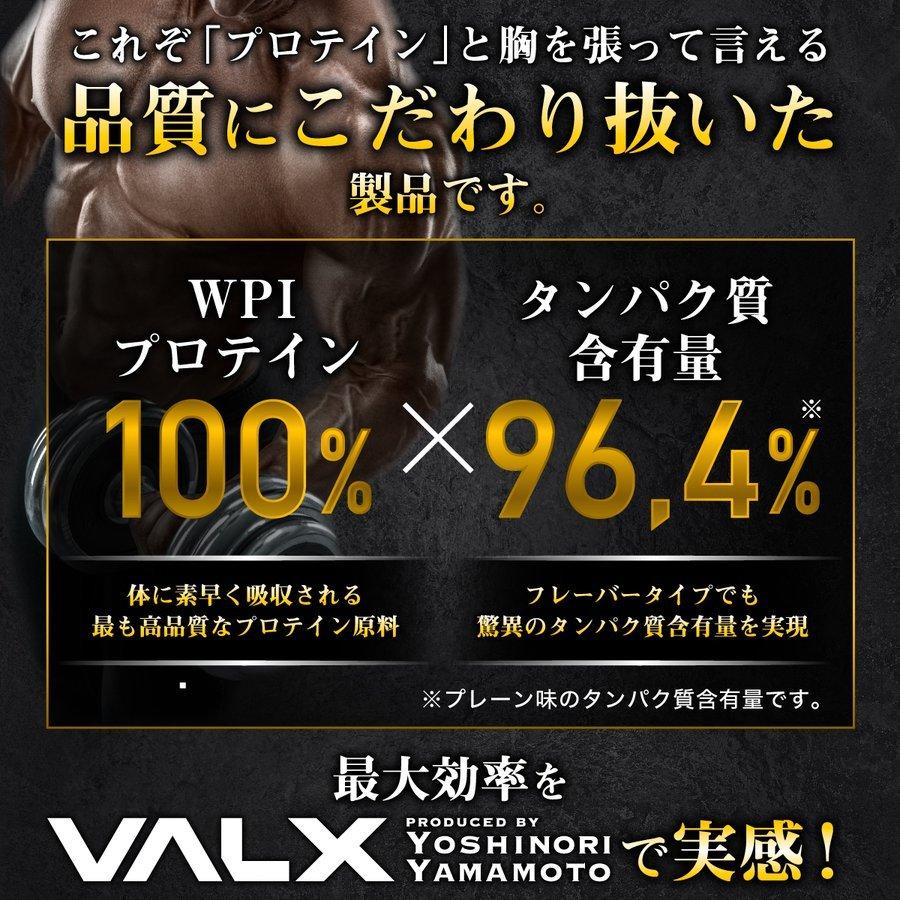 VALX プロテイン WPIパーフェクト 【6種類の味から選べるお得な2個セット】 1kg ×2袋 (2kg) 山本義徳 監修 プロテイン 1kg アイソレート ダイエット 筋トレ ...