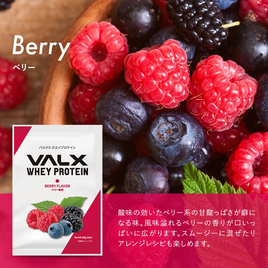 VALX (バルクス) ホエイプロテイン WPC コンプリートセット味 山本義徳 30g 10個 女性 男性 ポイント利用 : VALX ONLINE STORE - 通販 - Yahoo ...