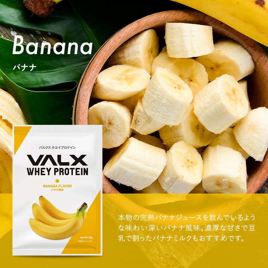 VALX (バルクス) ホエイプロテイン WPC コンプリートセット味 山本義徳 30g 10個 女性 男性 :wpc-ipkg-10set:VALX ONLINE STORE - 通販 ...