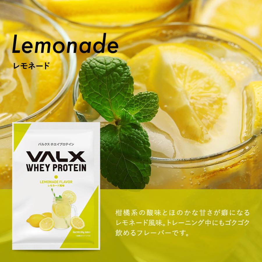 VALX (バルクス) ホエイプロテイン WPC コンプリートセット味 山本義徳 30g 10個 女性 男性 :wpc-ipkg-10set:VALX ONLINE STORE - 通販 ...