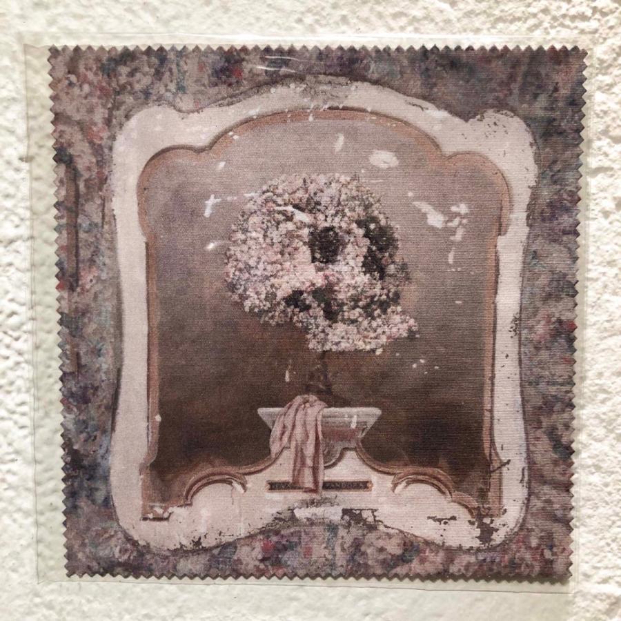 スズキエイミ メガネ拭き「Eva Prima Pandora」 : ヴァニラ画廊ウェブストア - 通販 - Yahoo!ショッピング