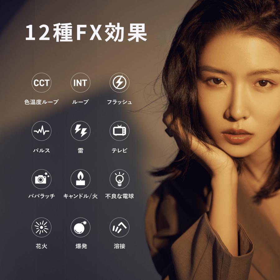 NANLITE FC-120B 撮影用ライト LEDライト スタジオライト バイカラー 出力145W 色温度2700-6500K 軽量小型 静音 ケース付属 国内正規品 爆買 ...