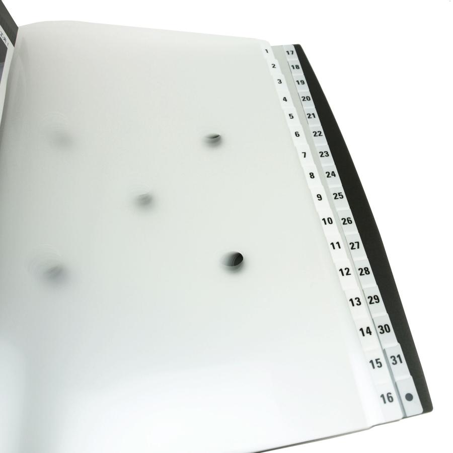 リヒトラブ スケジュールファイル 31仕切り A4 黒 A4400-24 : s-b002h3t0c2-20241016 : Vast Forest - 通販 - Yahoo!ショッピング