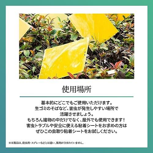 SowKow 粘着シート25枚入り 捕虫 観葉植物 ハエ コバエ 小蠅取りシート コバエ取りシート 取り シバンムシ 虫取り 虫よけ 20cm×25c : Vast Forest - 通販 ...