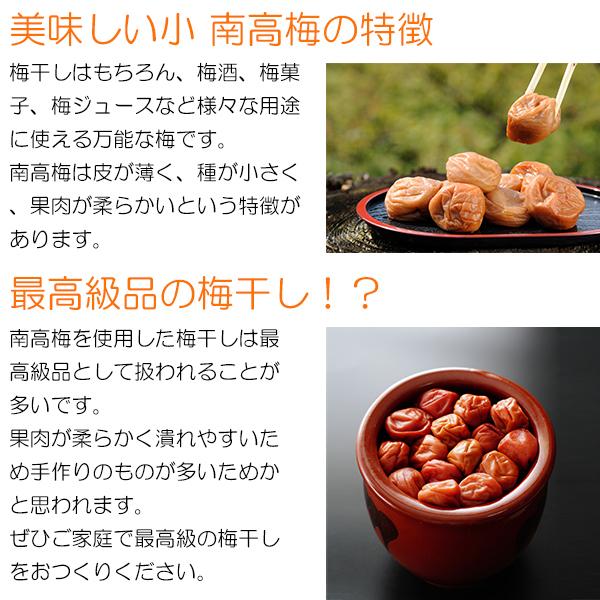 生梅 南高梅 3L-4L 約1kg 秀品 和歌山県産 梅 紀州 うめぼし 梅酒 JA 予約5月27日〜6月25日発送 :nankou-syu-3l4l-1kg:ベジフルスマート - 通販 ...