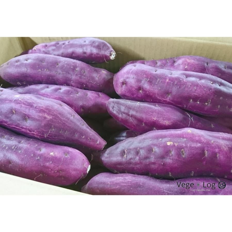 徳島県産 鳴門金時 里むすめ 約5kg M〜2L 12〜28本前後入 サイズおまかせ ご家庭用 B品 少し訳あり ブランドさつまいも 本州送料無料 : ベジタスログ - 通販 - Yahoo ...