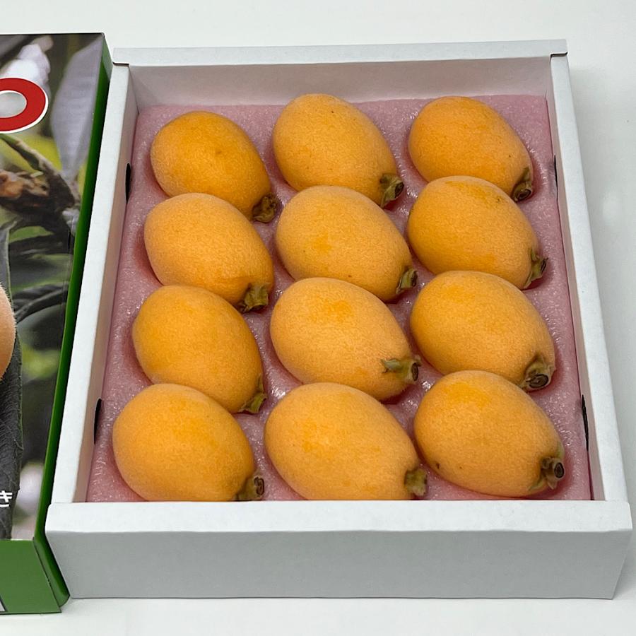 びわ 長崎県 茂木びわ 9-12粒 化粧箱 初夏の果物 枇杷 フルーツギフト 贈答品 自宅用 父の日 果物 L〜2Lサイズ サイズお任せ ...