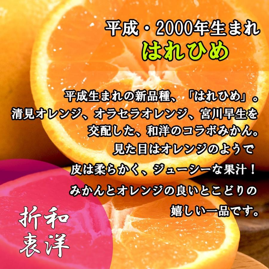 はれひめ 箱買い みかん ご家庭用 雑柑 2S S M L 2L 3L 2kg 送料無料 : 0000000194 : ベジろう - 通販 - Yahoo!ショッピング