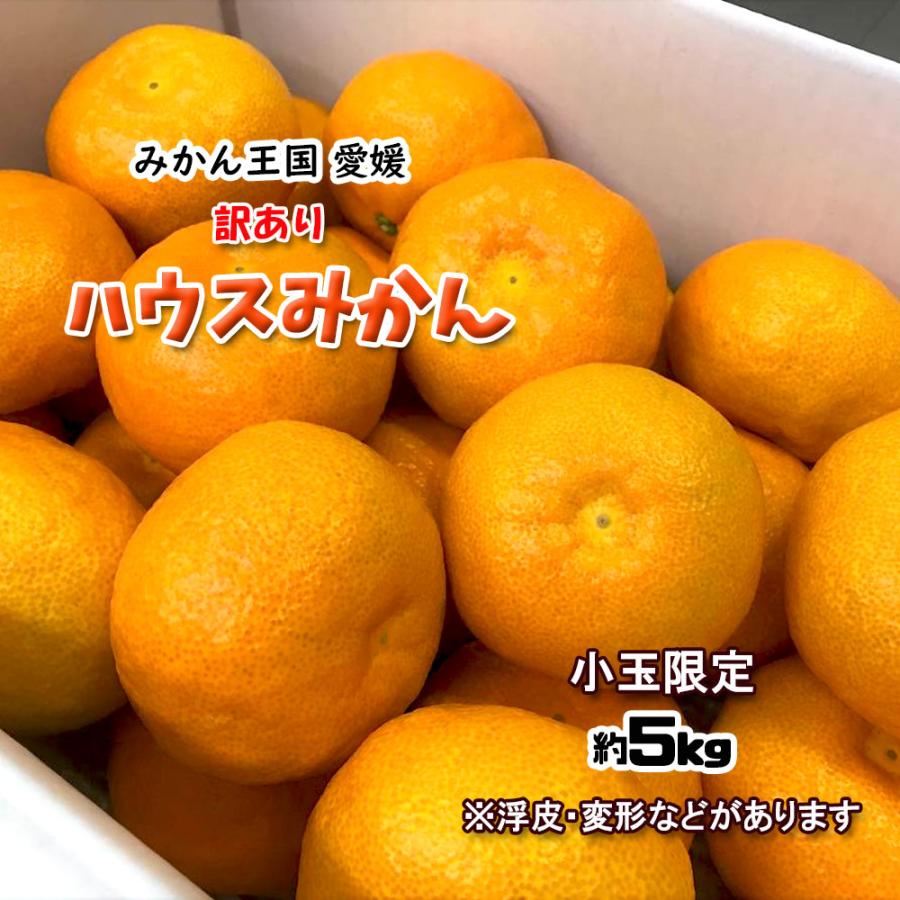 ハウスみかん 訳あり 小玉 愛媛県産 みかん 送料無料 約5kg S-2S : ベジろう - 通販 - Yahoo!ショッピング