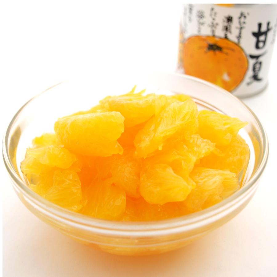 BEMAC 八朔シラップ漬け295g・甘夏シラップ漬け295g 各6缶（合計12缶） 送料込 : ベジタブルハート - 通販 - Yahoo!ショッピング