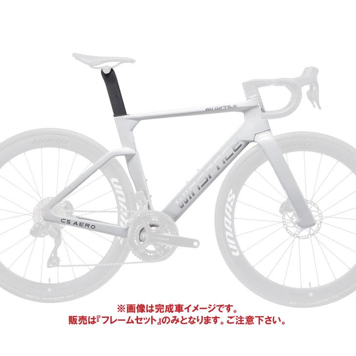 WINSPACE ウィンスペース C5 AERO FRAME SET フレームセット カメレオンホワイト : 自転車館びーくる - 通販 ...