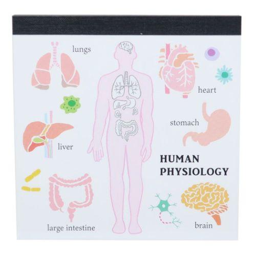 メモ帳 スクエアメモパッド STUDY HOLIC 人類生物学 Green Flash : 雑貨&アートの通販店 ベルコモン - 通販 - Yahoo!ショッピング
