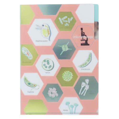ポケットファイル A5ポケットクリアファイル STUDY HOLIC 微生物学 Green Flash : 雑貨&アートの通販店 ベルコモン - 通販 - Yahoo!ショッピング