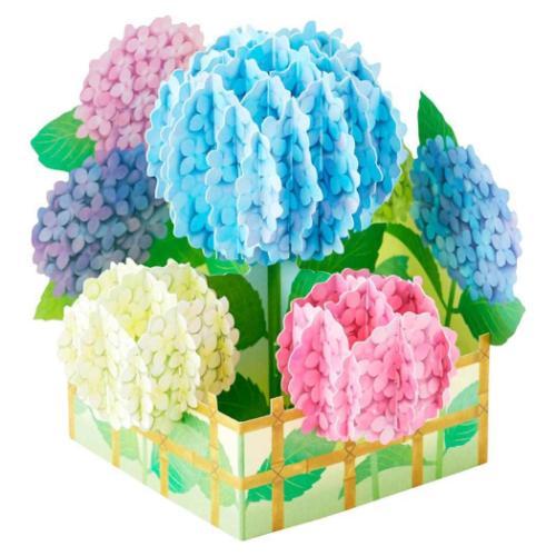 シヨカ JES 13-5 立体カード グリーティングカード 初夏 生垣にアジサイ サンリオ : 雑貨&アートの通販店 ベルコモン - 通販 - Yahoo!ショッピング