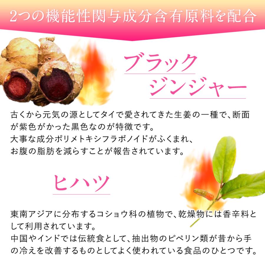 Taisya タイシャ お試しサイズ 21粒 機能性表示食品 代謝 冷え 脂肪 ダイエット むくみ ブラックジンジャー ヒハツ : ヴェン ...