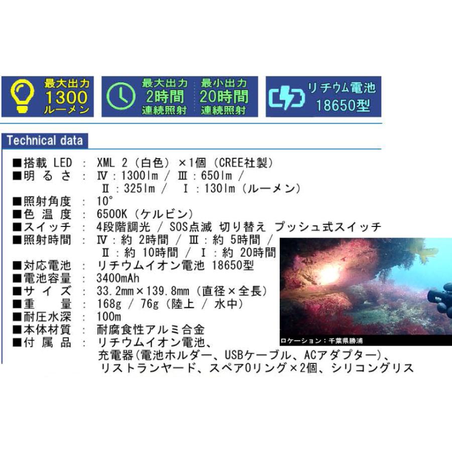 ZERO（ダイビング） BIGBLUE ビッグブルー 水中ライト LED AL-1300NP ダイビング 水中撮影 スポットビーム スポット ...