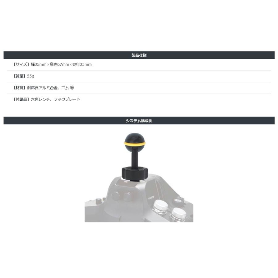 SEA＆SEA SEA&SEA シーアンドシー SA8 アクセサリーシューボールベース2 アーム クランプ ハウジング ダイビング 水中カメラ 水中撮影 アクセサリー 22139 : VERY ...