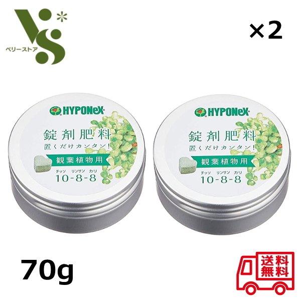 ハイポネックス 錠剤肥料 観葉植物用 70g x2個セット 置くだけカンタン 園芸 錠剤 肥料 : 0480-017994 : ベリーストア - 通販 - Yahoo!ショッピング