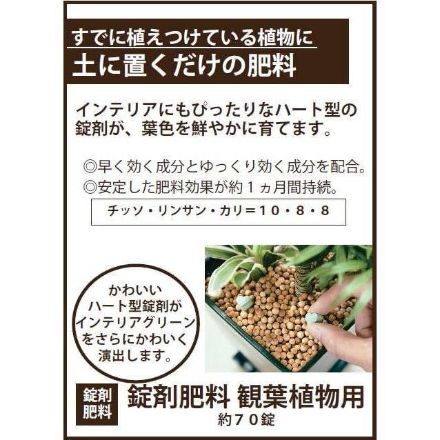 ハイポネックス 錠剤肥料 観葉植物用 70g x2個セット 置くだけカンタン 園芸 錠剤 肥料 : 0480-017994 : ベリーストア - 通販 - Yahoo!ショッピング