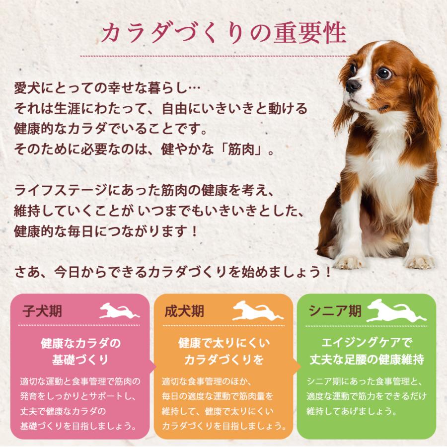 おまけ付き フィジカライフ Physicalife 成犬用 白身魚＆大豆入り 800g 800グラム ドッグフード 犬 イヌ 成犬 ペット 健康 無着色 無香料 無添加 総合栄養食 ...